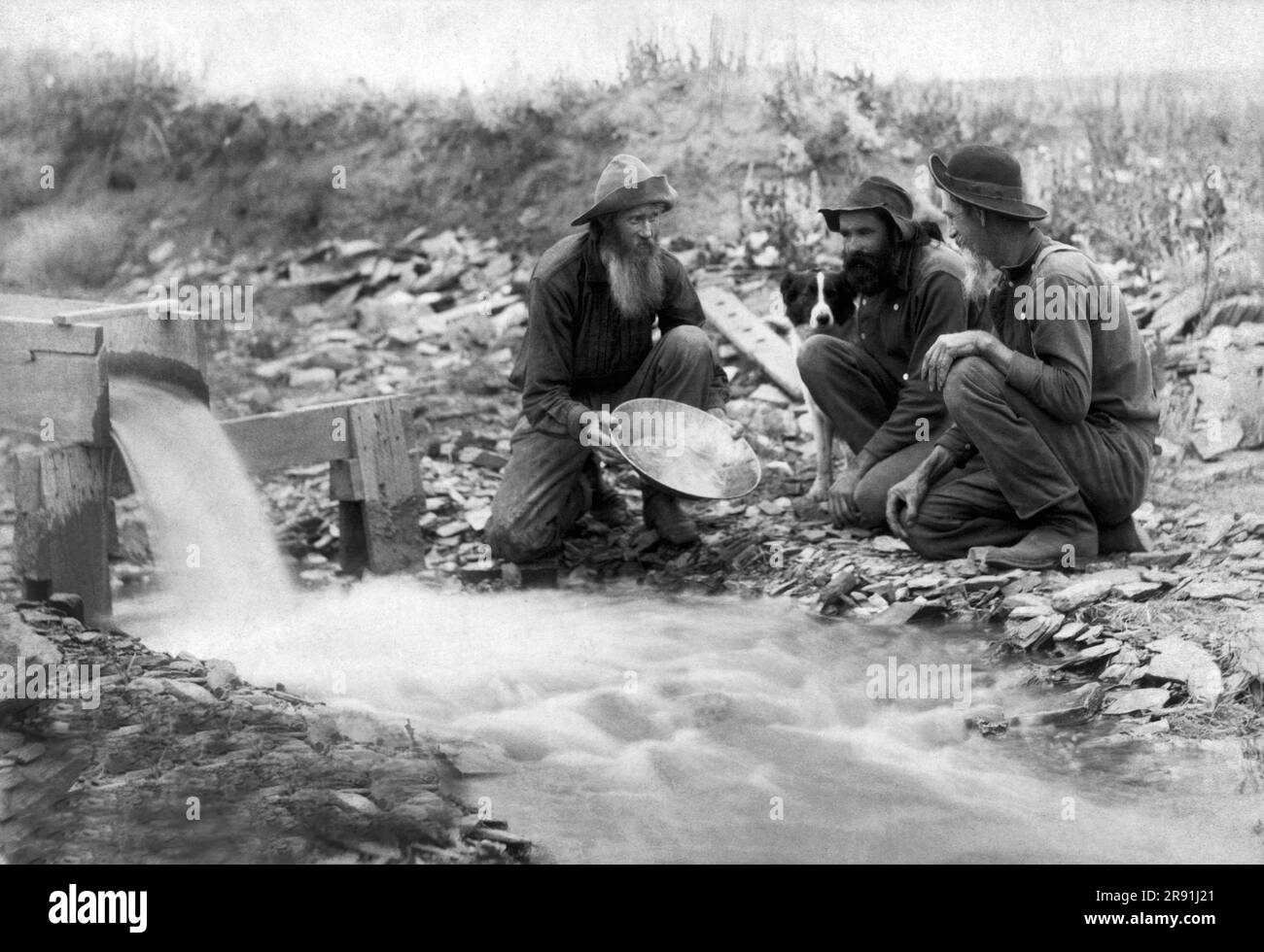 Rockerville, Dakota Territory, 1889 Three gold miners with their dog ...