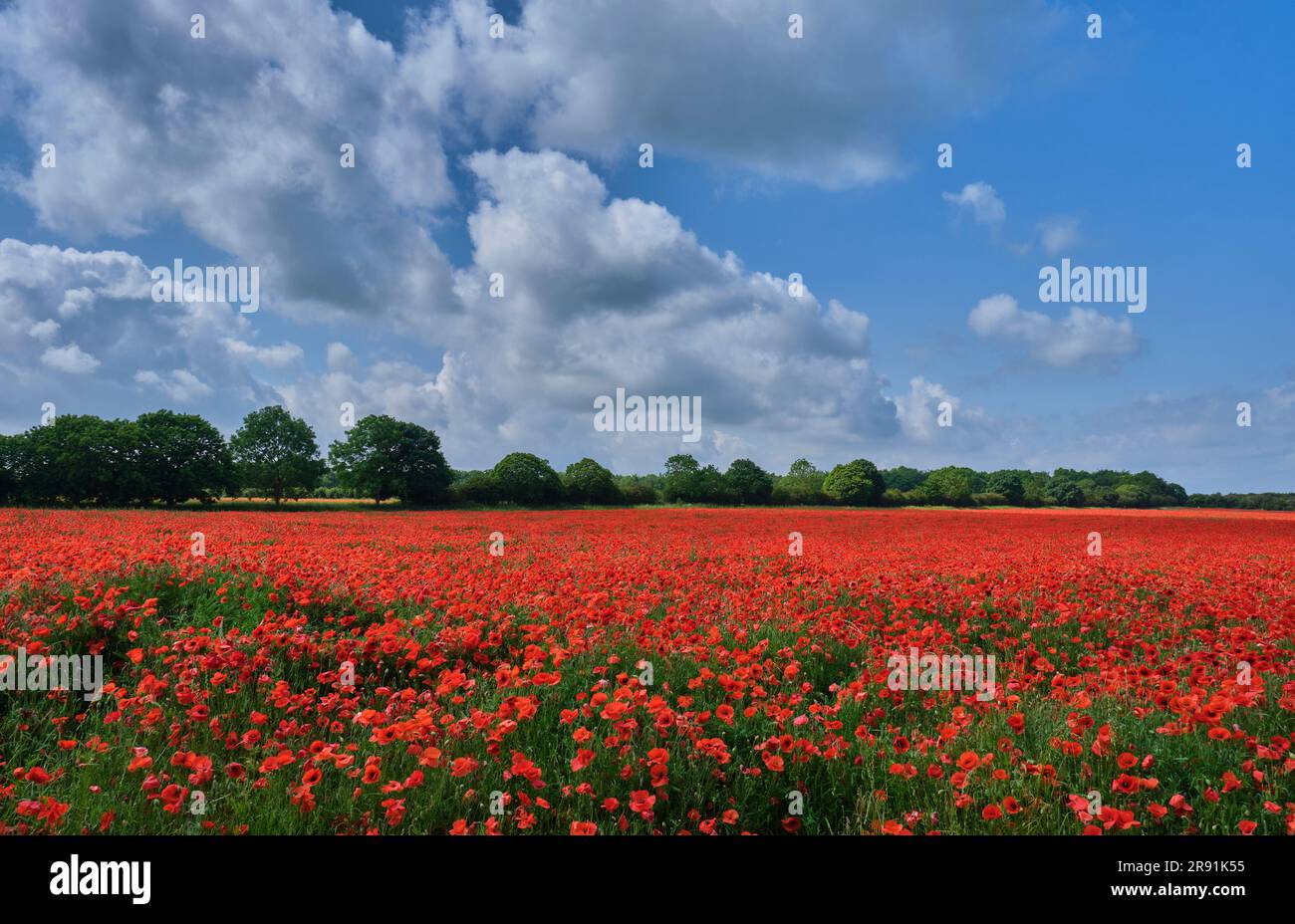 Courtyard farm norfolk hi-res stock photography and images - Alamy