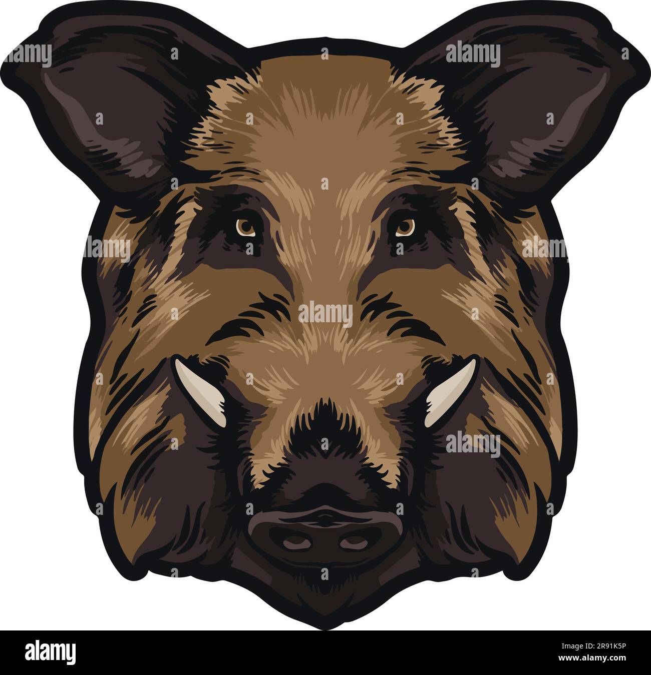 Wild Boar Face Drawing