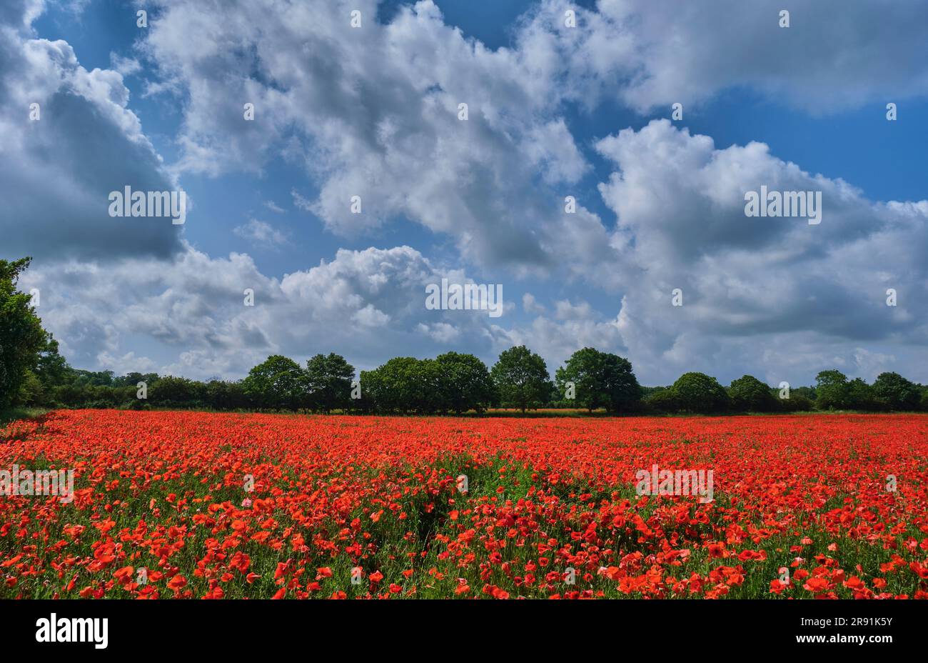 Ringstead common hi-res stock photography and images - Alamy