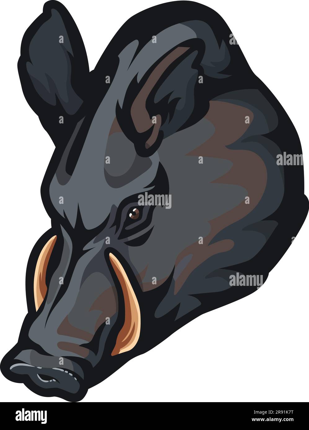 Wild boar head drawing hi-res stock photography and images - Alamy