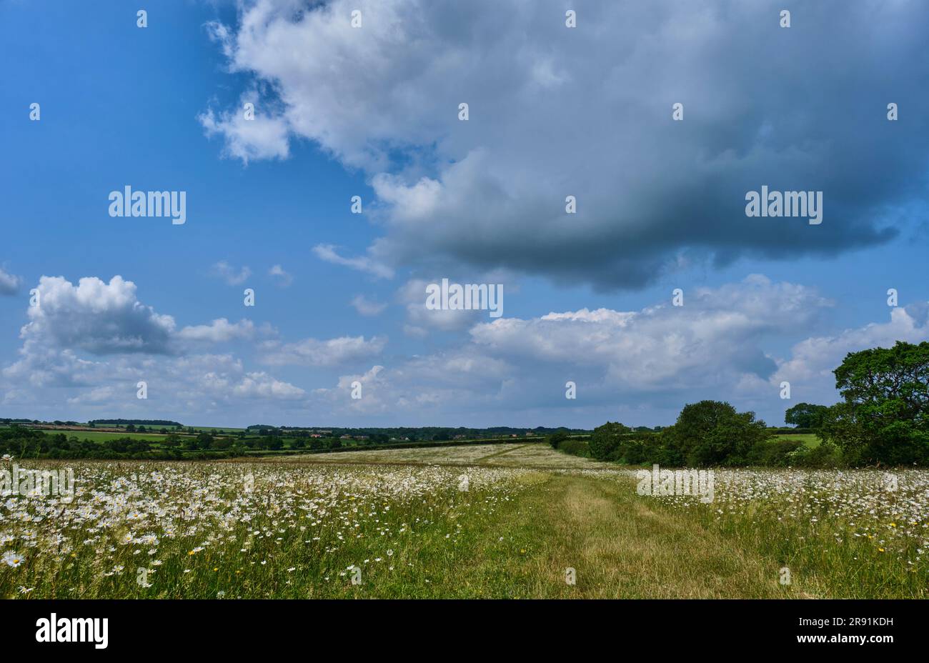 Courtyard farm norfolk hi-res stock photography and images - Alamy