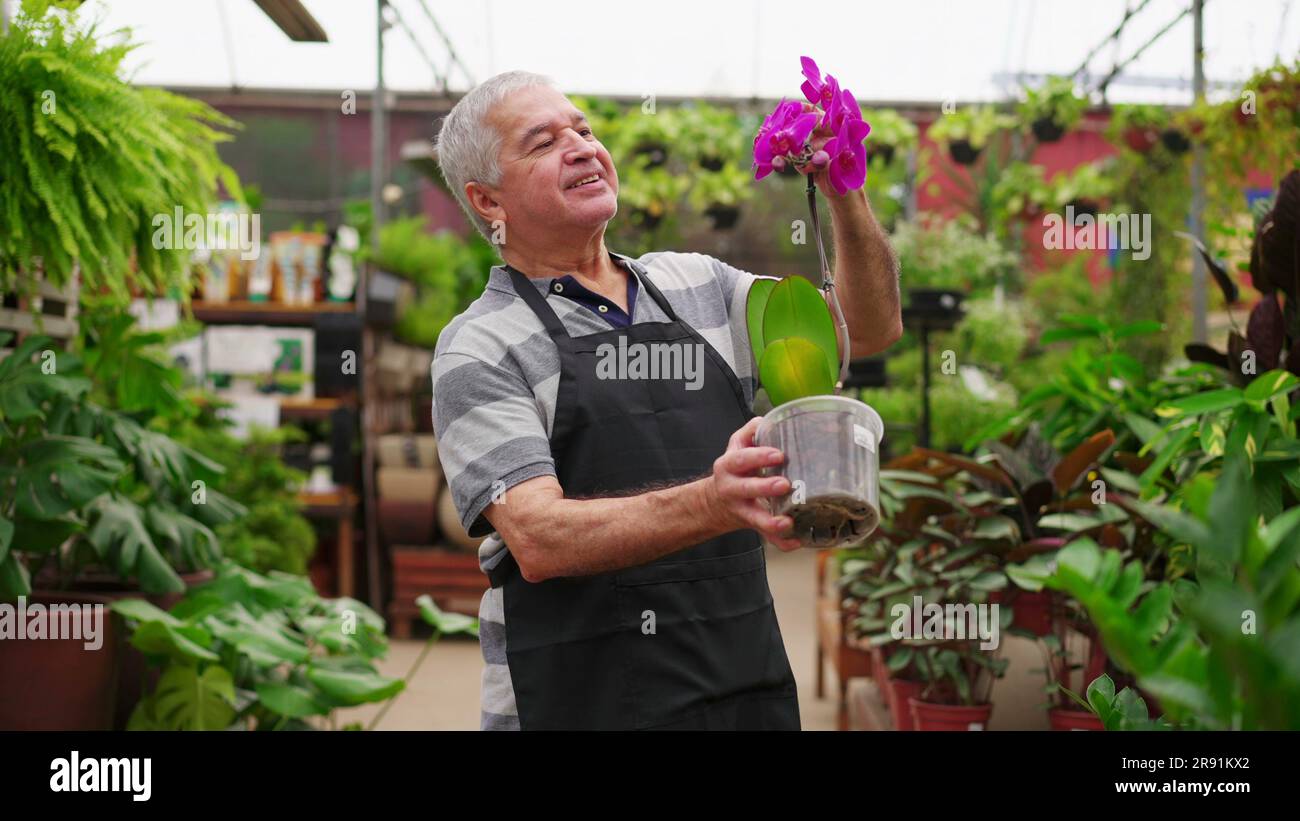Candid senior man examining flower hi-res stock photography and images ...