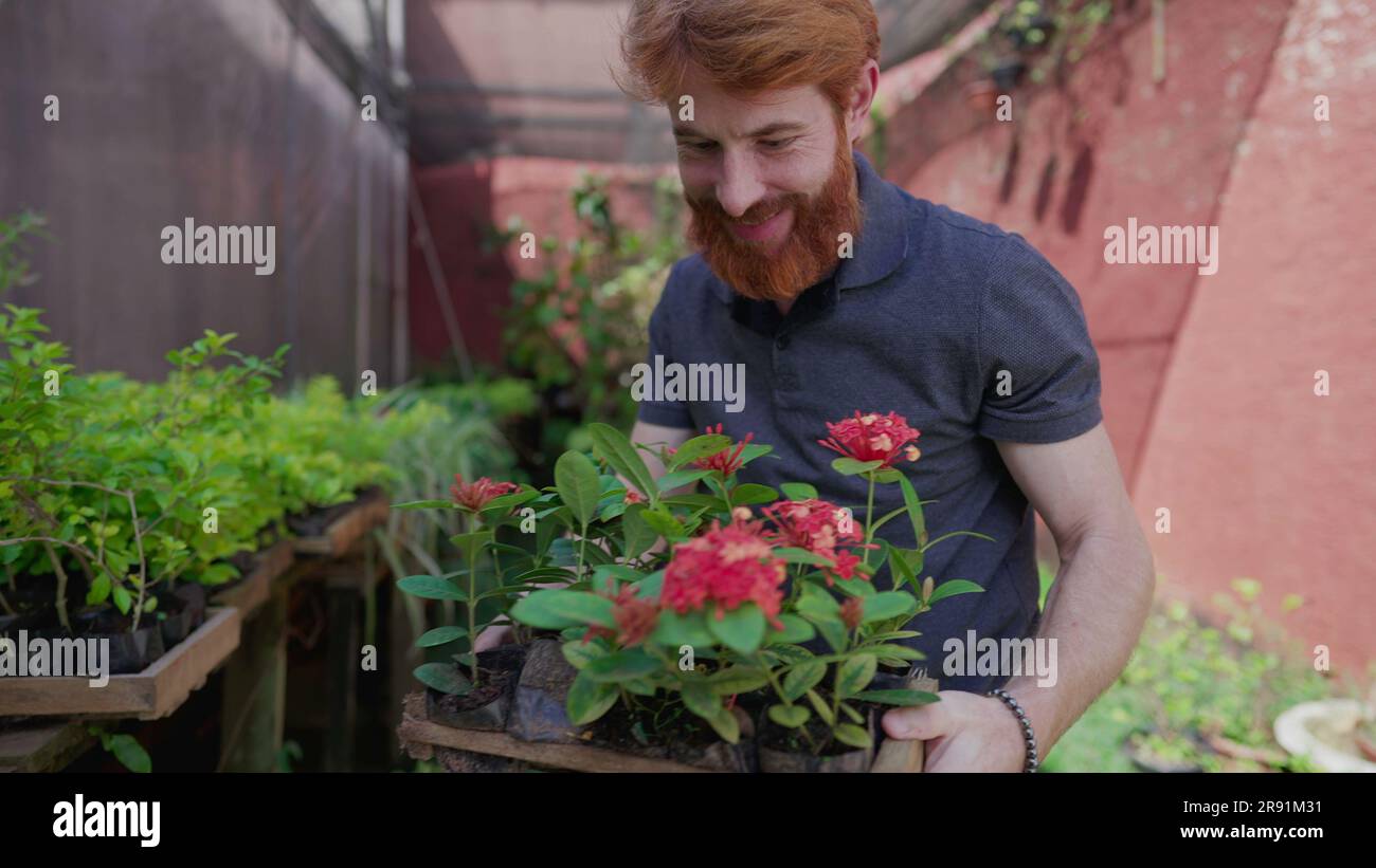 Joyful young man pulling plant from shelf standing outside in backyard ...