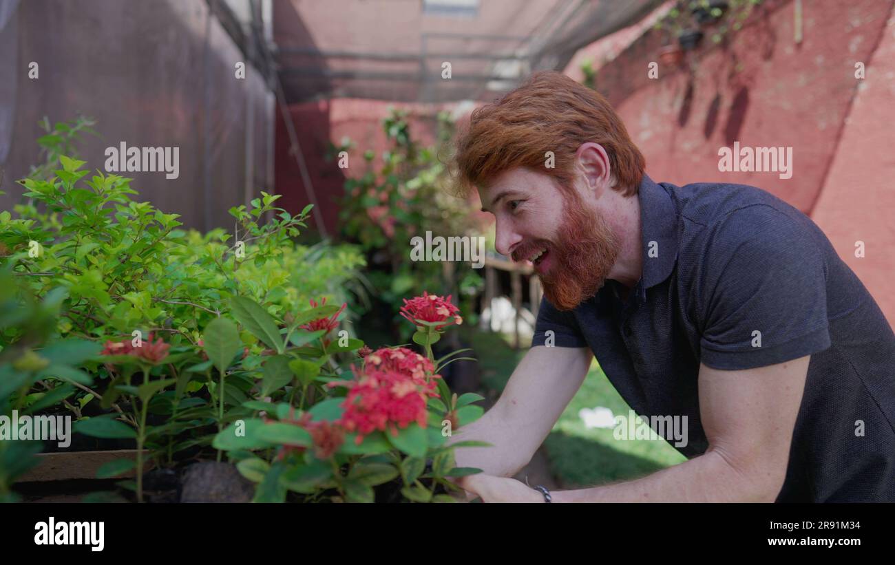 Joyful young man pulling plant from shelf standing outside in backyard ...