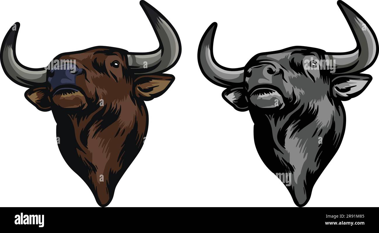 Bison Face Illustration