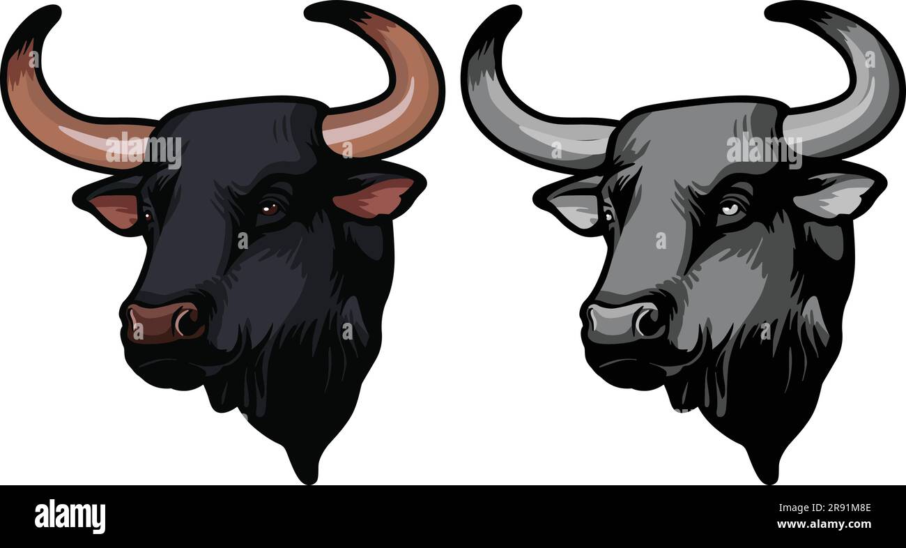 Wild Bull Vector