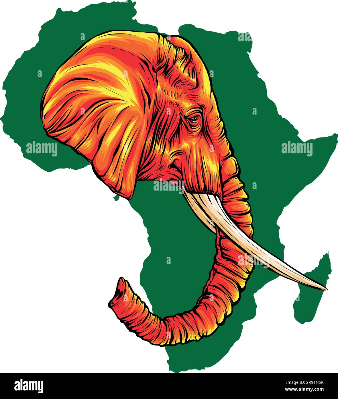 vector colored illustration of an African elephant head Stock Vector ...