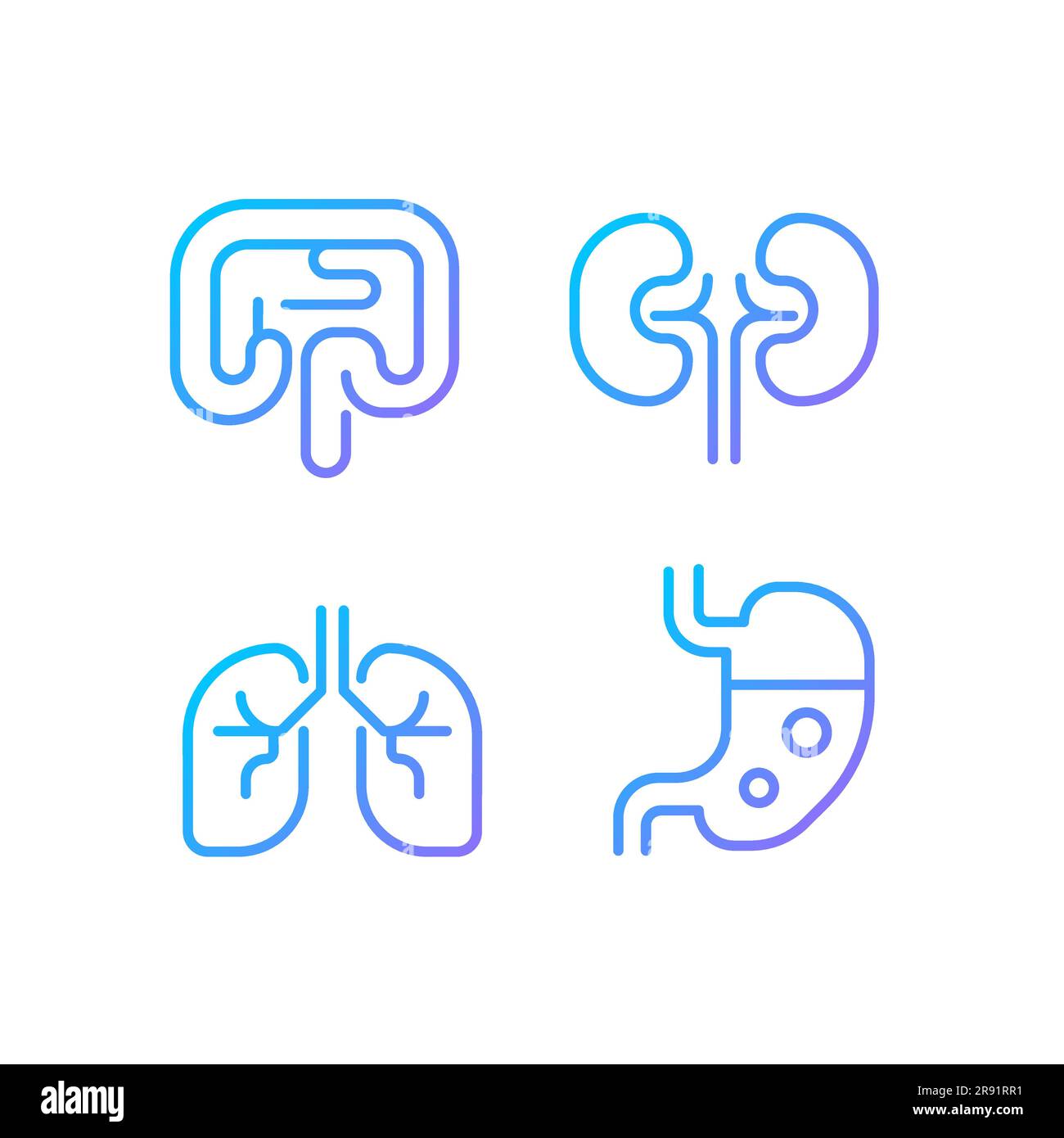 Human organs pixel perfect gradient linear vector icons set Stock Vector Image & Art - Alamy