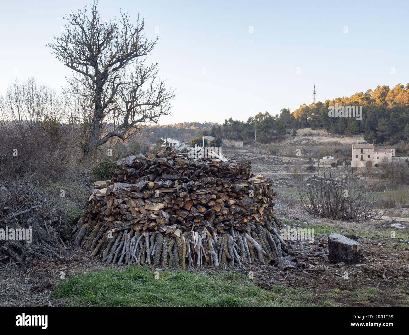 A pile of chopped wood in a rural area Stock Photo - Alamy