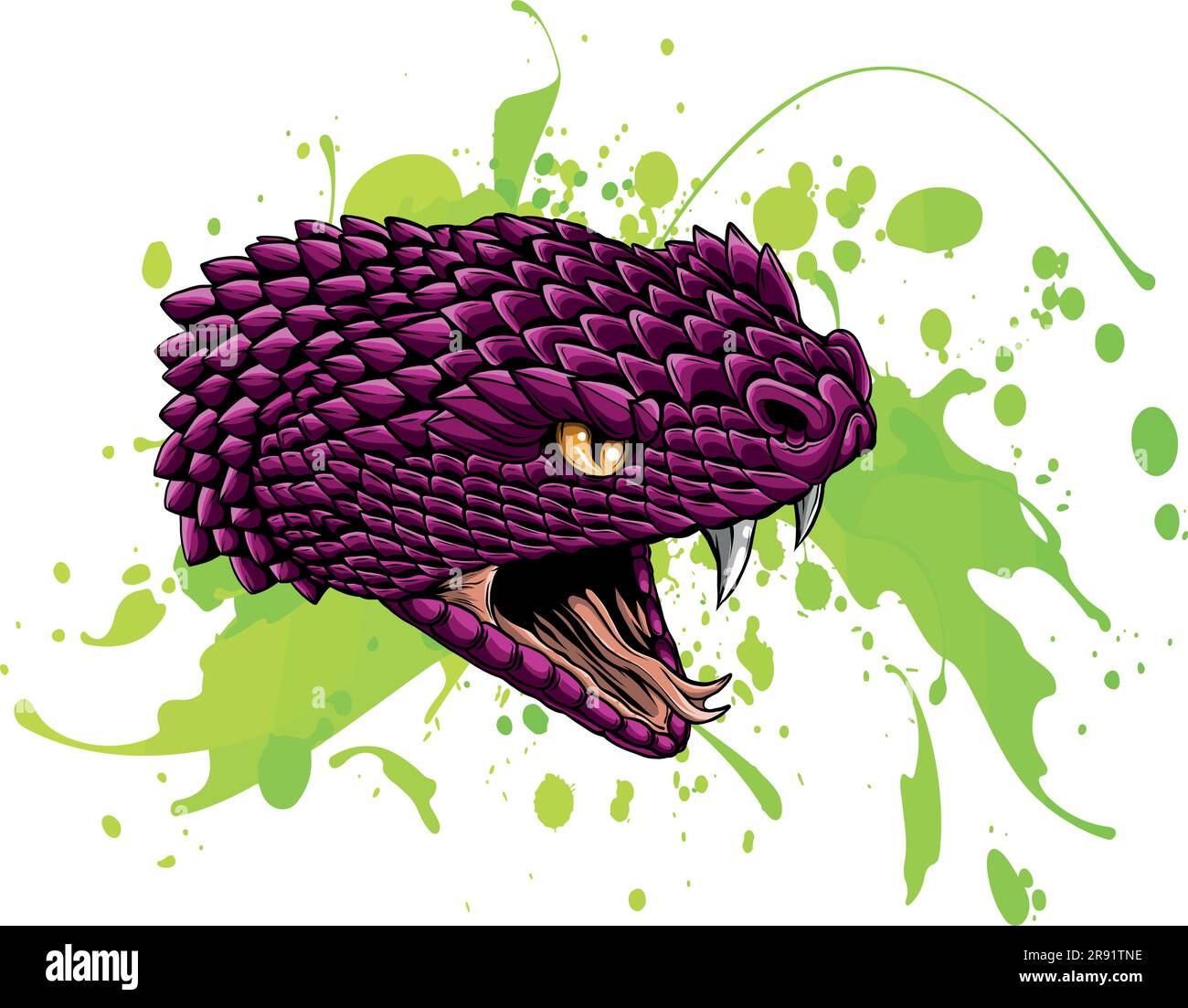 vector illustration of snake head with splash water Stock Vector Image ...
