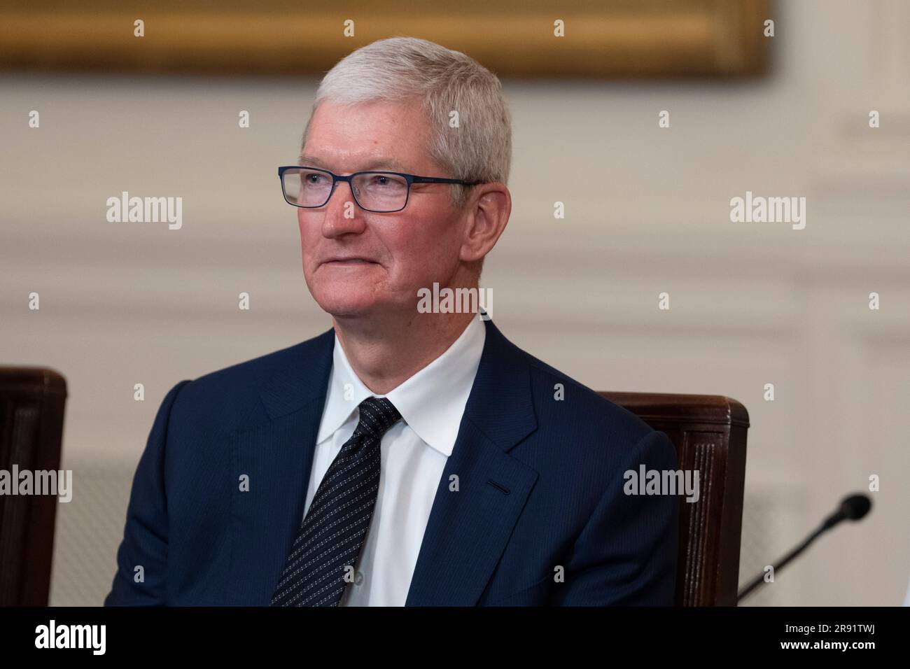 Indian ceo american hi-res stock photography and images - Alamy