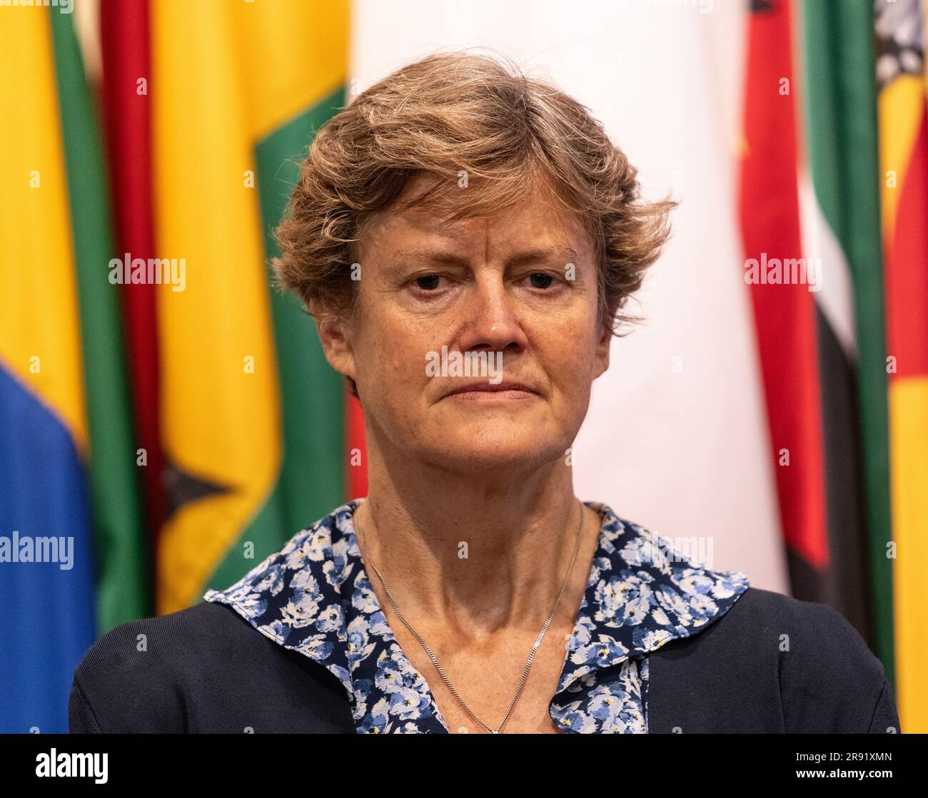Ambassador of United Kingdom Barbara Woodward attends press encounter ...