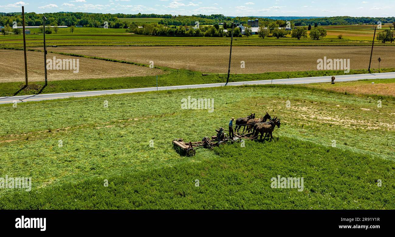 An Aerial View of an Amish Farmer Cutting Mowing Crops Using Four ...