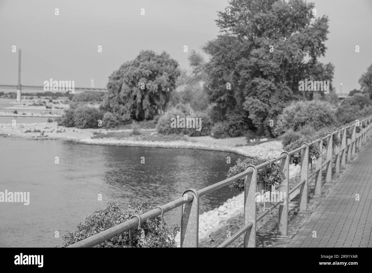 the city of Rees in germany Stock Photo - Alamy