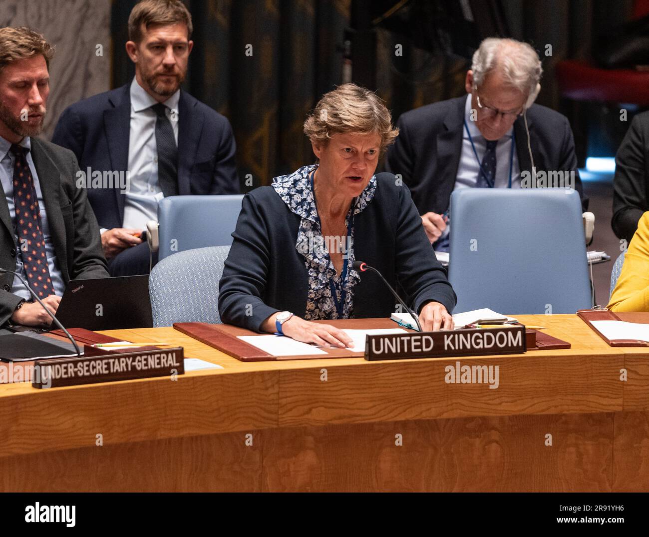 Ambassador of United Kingdom Barbara Woodward speaks at SC meeting on ...