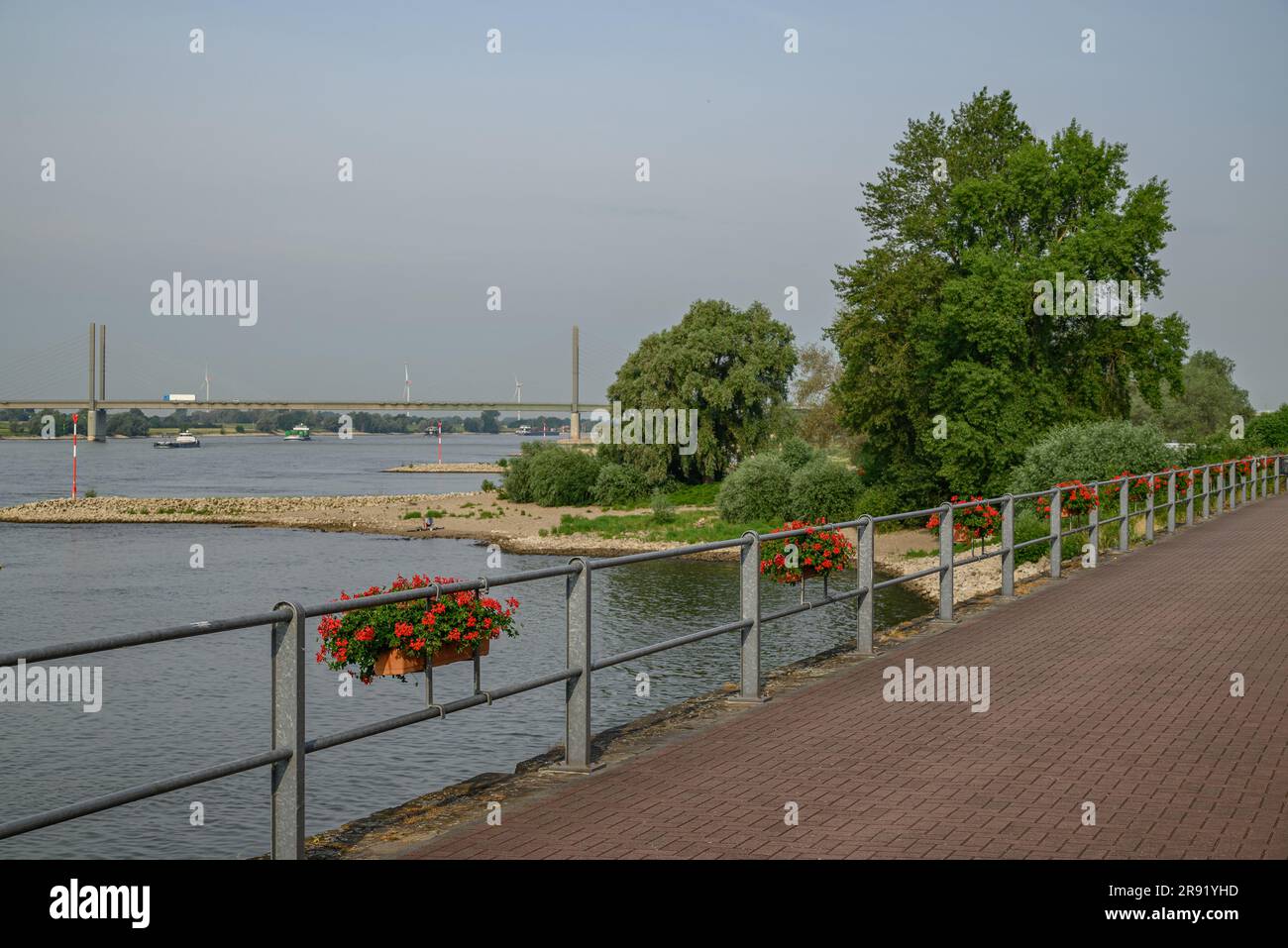 the city of Rees in germany Stock Photo - Alamy