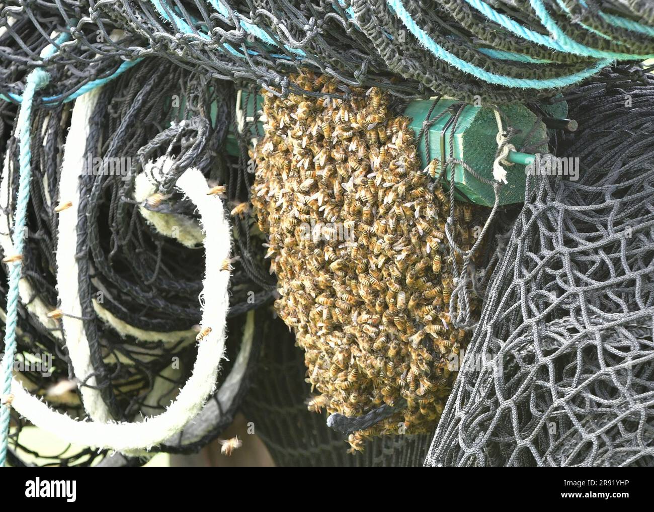 Trent Bridge Cricket Stadium, Nottingham UK. 23 June 2023. England ...