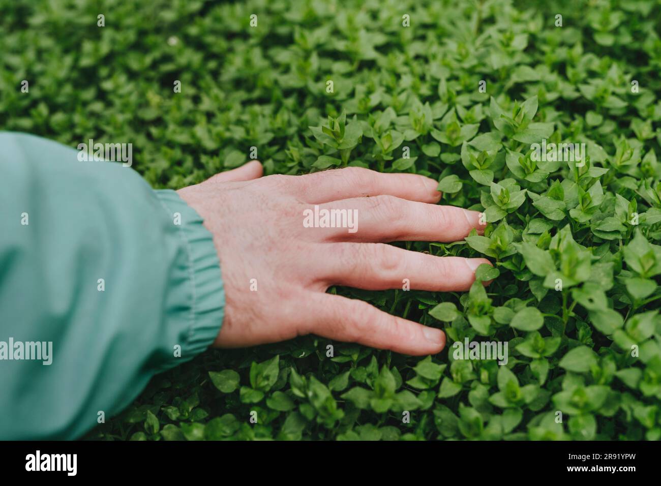 Touching soil hi-res stock photography and images - Alamy