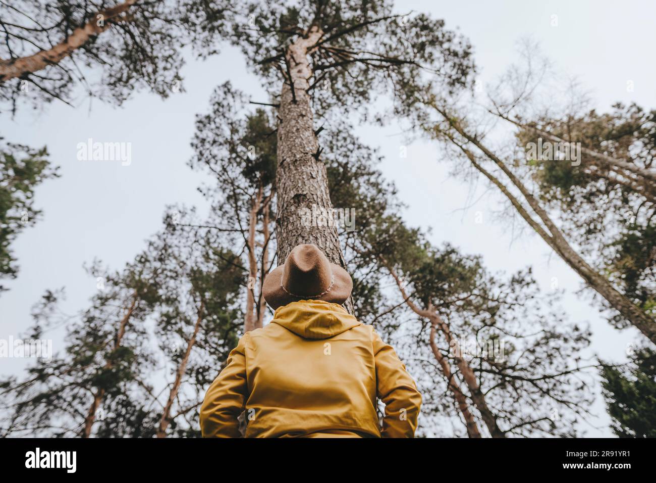 Tall women hi-res stock photography and images - Alamy