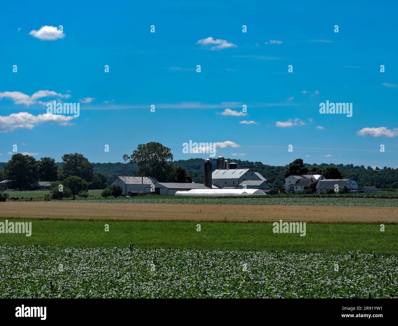A View of a Farm With Silos and Barn in the Middle of Freshly Planted ...