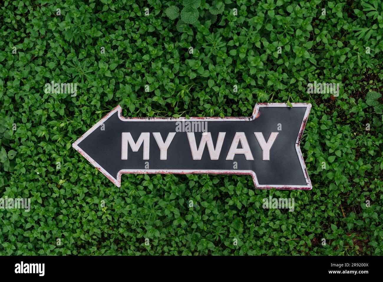 Directional arrow on grass hi-res stock photography and images - Alamy