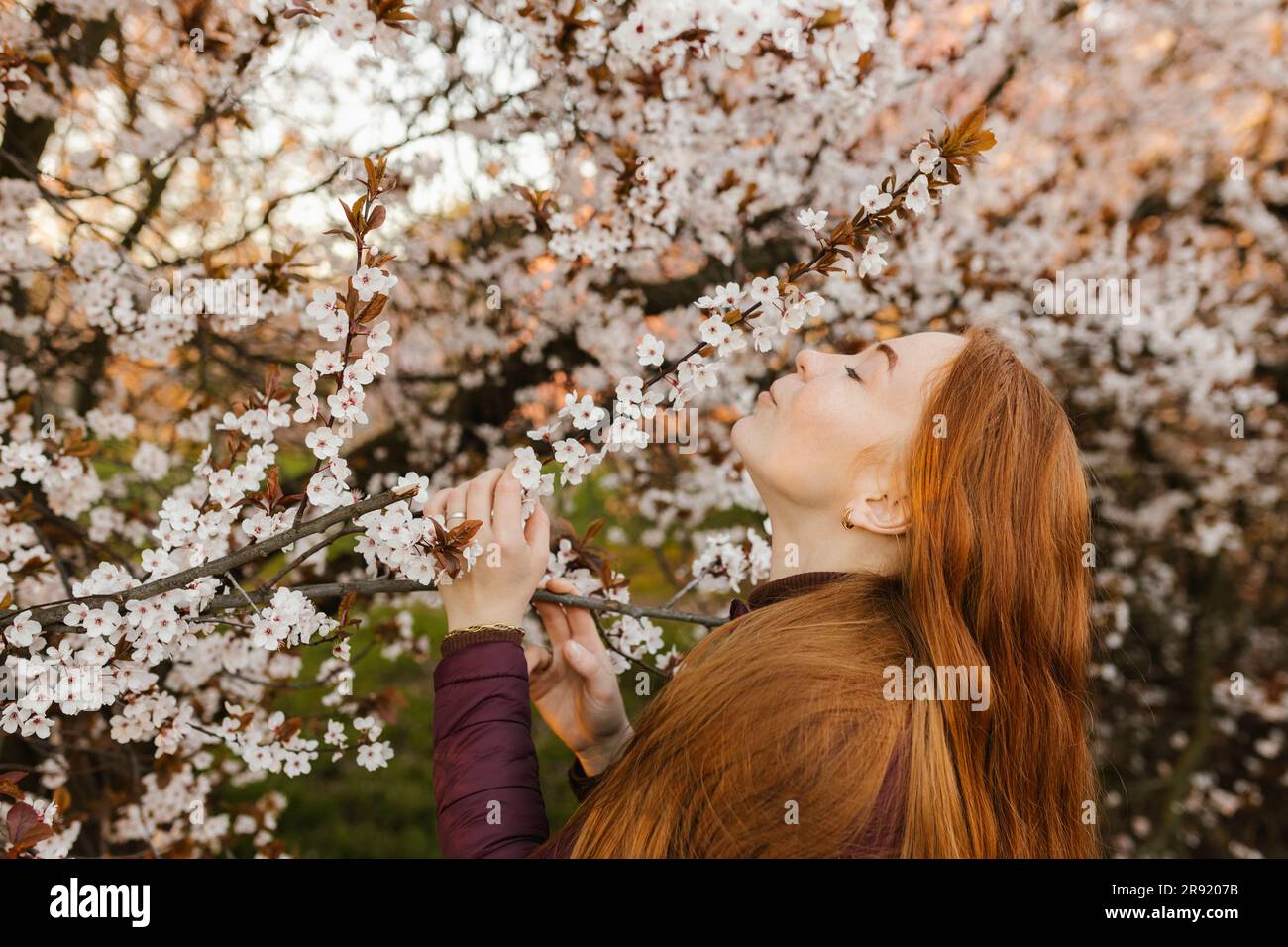 Woman smelling flowers on plant hi-res stock photography and images - Alamy