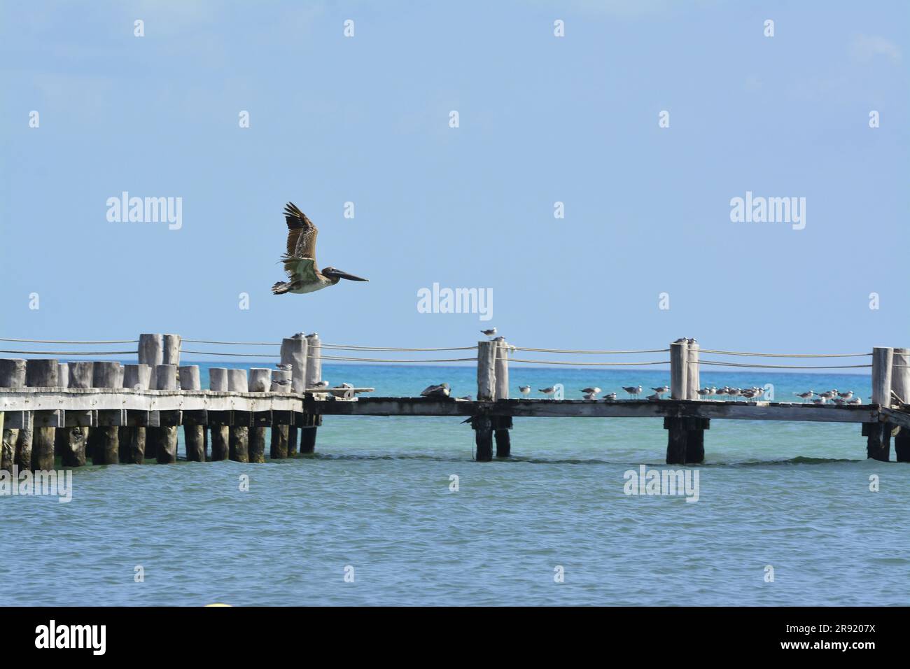 Sun bleached derelict pier in Cancun Mexico Stock Photo - Alamy