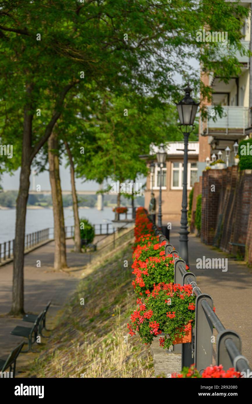 the city of Rees in germany Stock Photo - Alamy