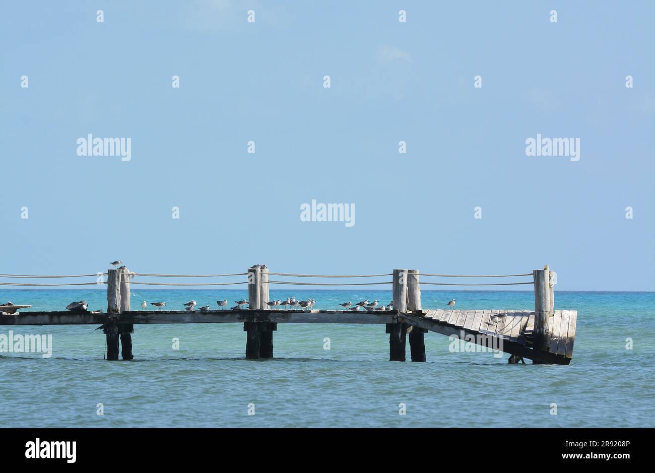 Sun bleached derelict pier in Cancun Mexico Stock Photo - Alamy