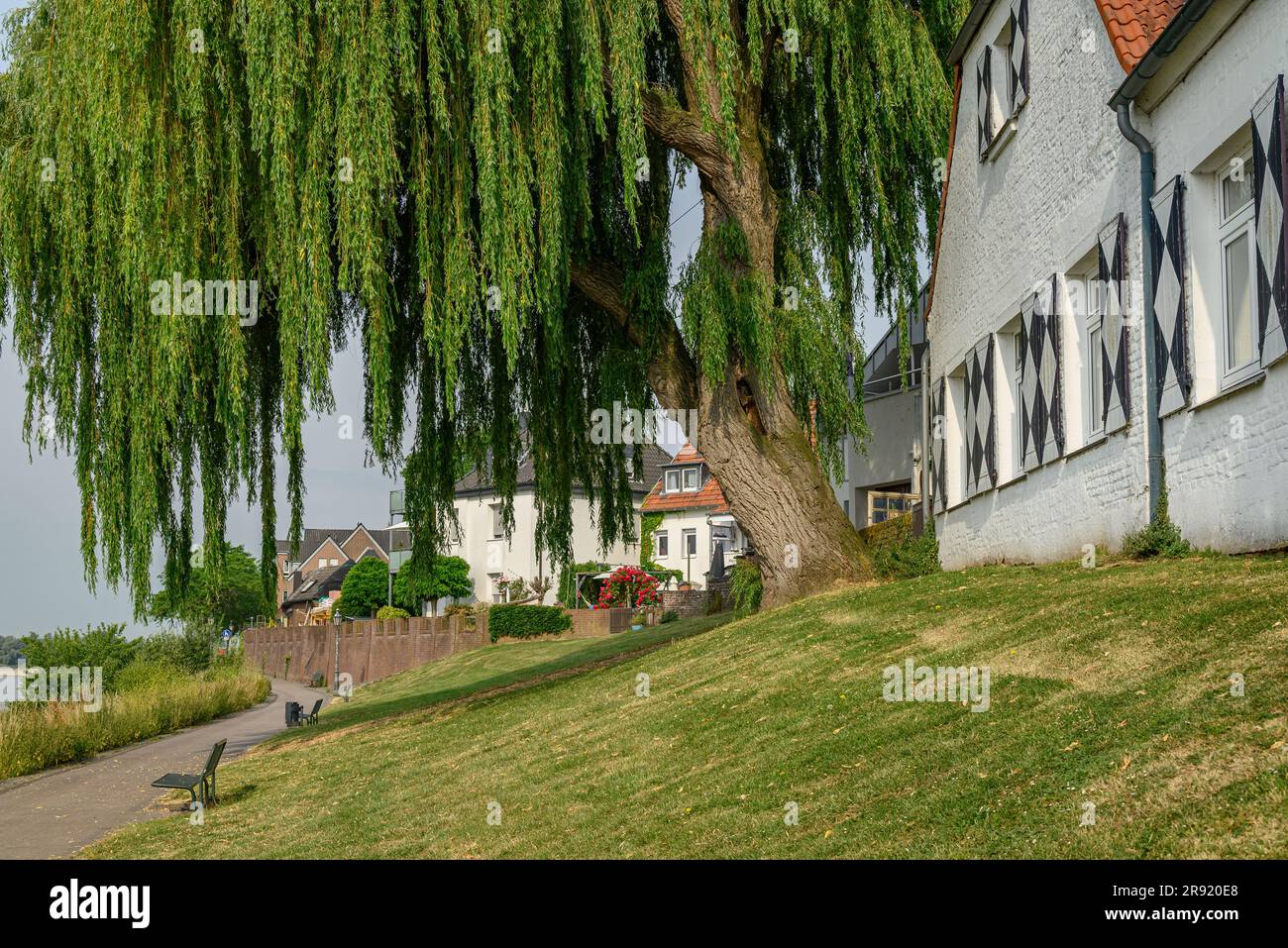 the city of Rees in germany Stock Photo - Alamy