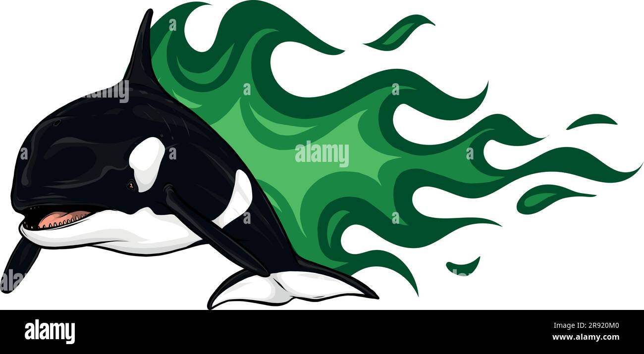 vector illustration of Killer Whale with flames Stock Vector Image ...