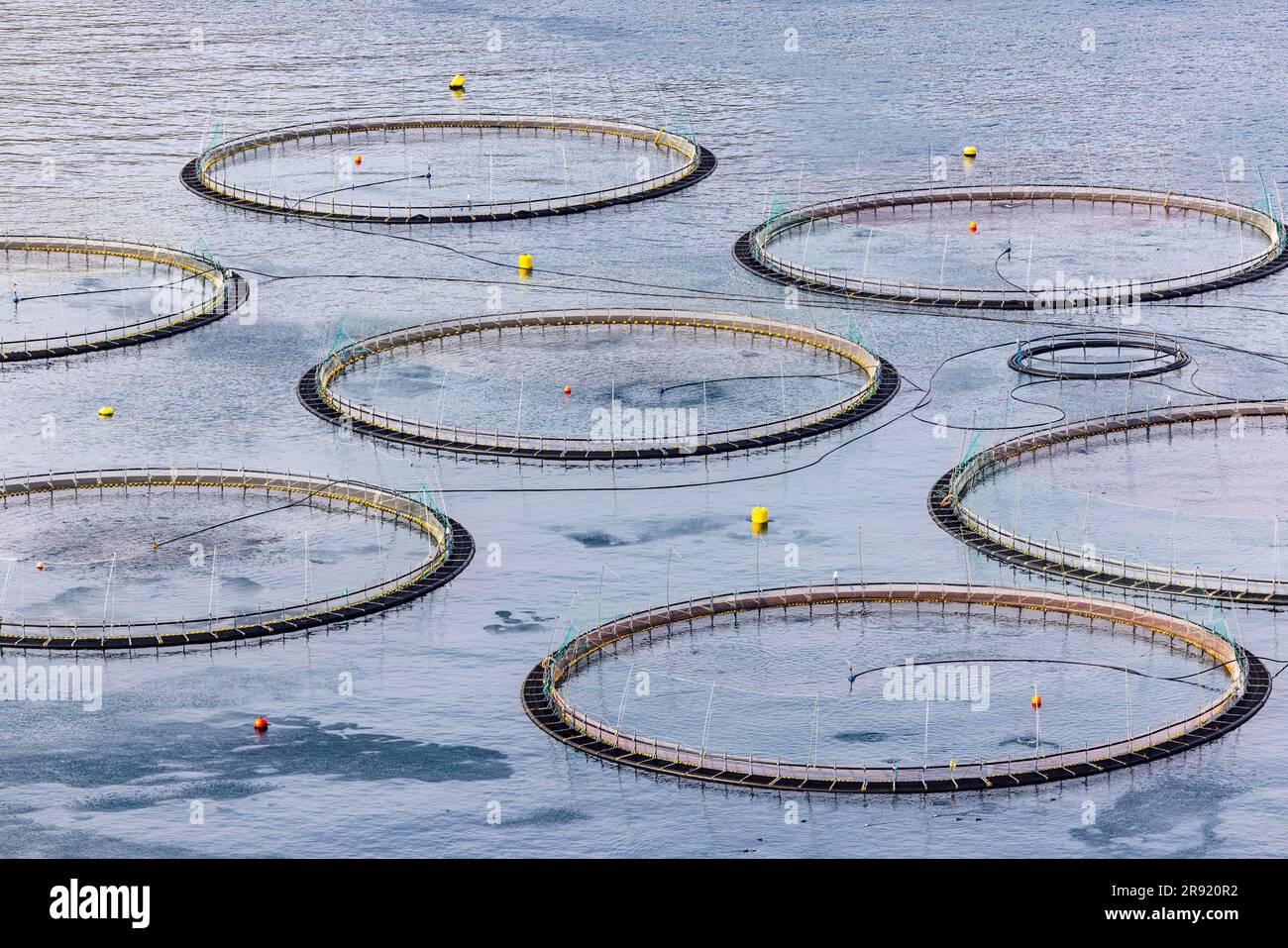 Salmon fish farm in the ocean waters at Faroe Islands Stock Photo - Alamy