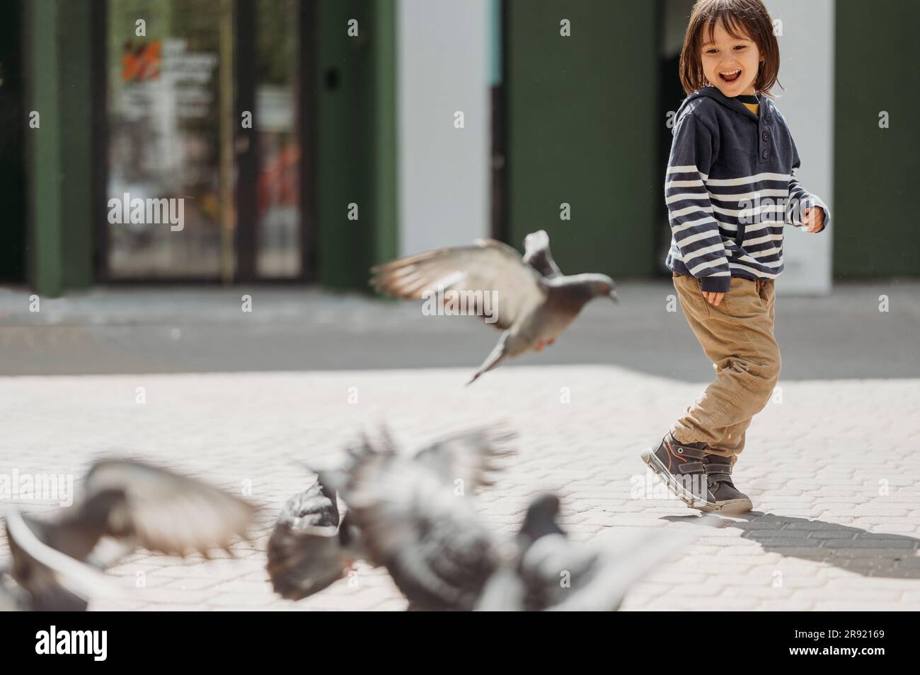 Happy pigeons hi-res stock photography and images - Alamy