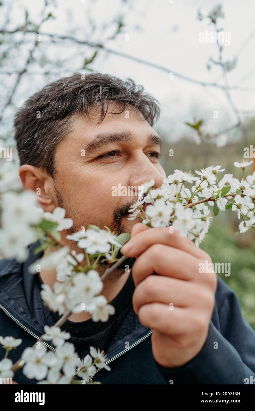 Hand holding cherry blossoms hi-res stock photography and images - Alamy