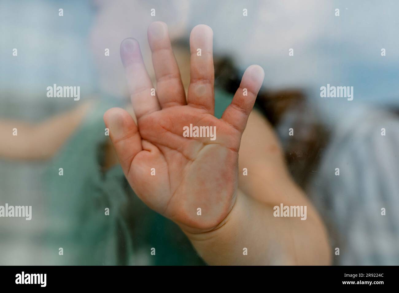 Baby palm hi-res stock photography and images - Alamy