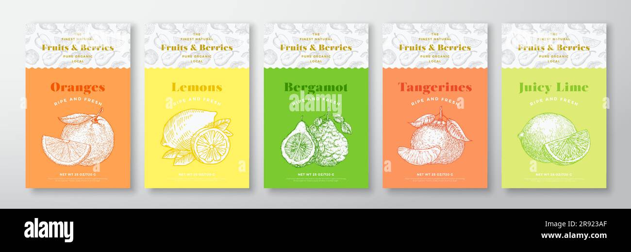 Fruits and Berries Pattern Label Templates Set. Vector Packaging Design ...