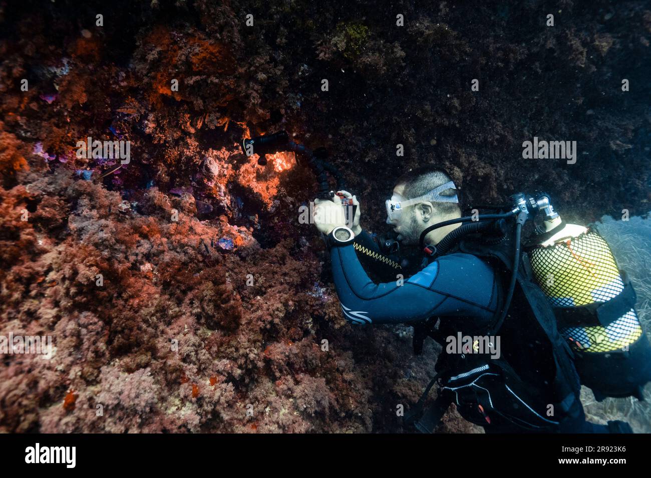 Coral suit hi-res stock photography and images - Alamy