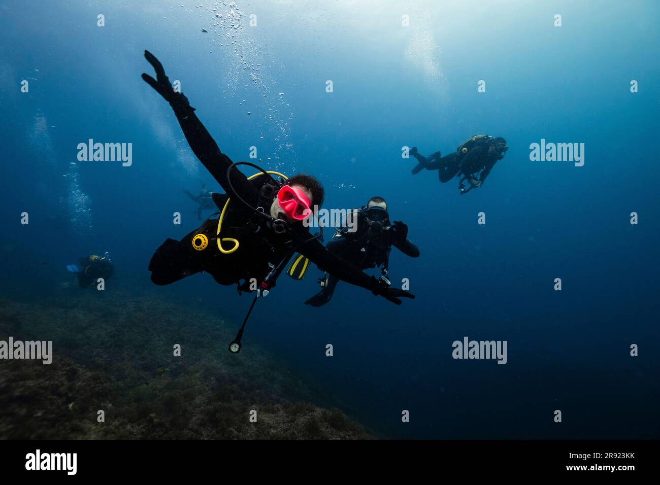 Group diving scuba group all fun hi-res stock photography and images ...