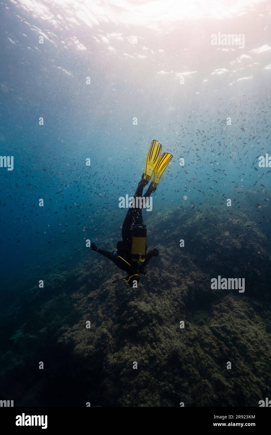 Scuba diver young woman hi-res stock photography and images - Alamy