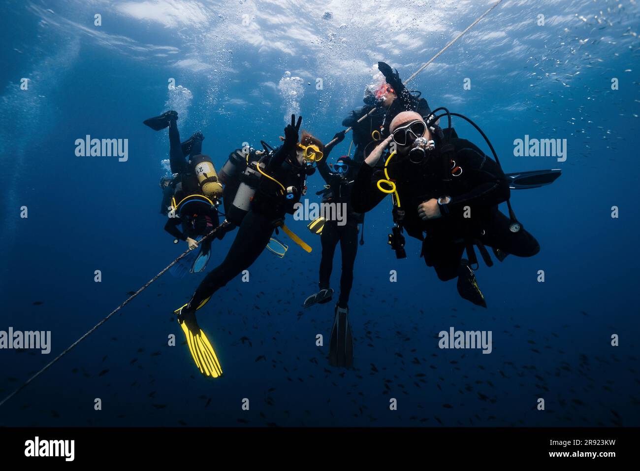 Group diving scuba group all fun hi-res stock photography and images ...