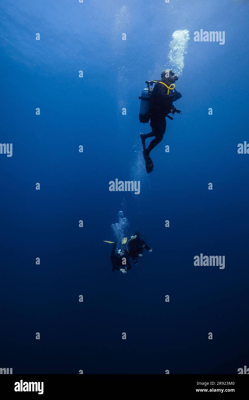 Three people scuba diving underwater hi-res stock photography and ...