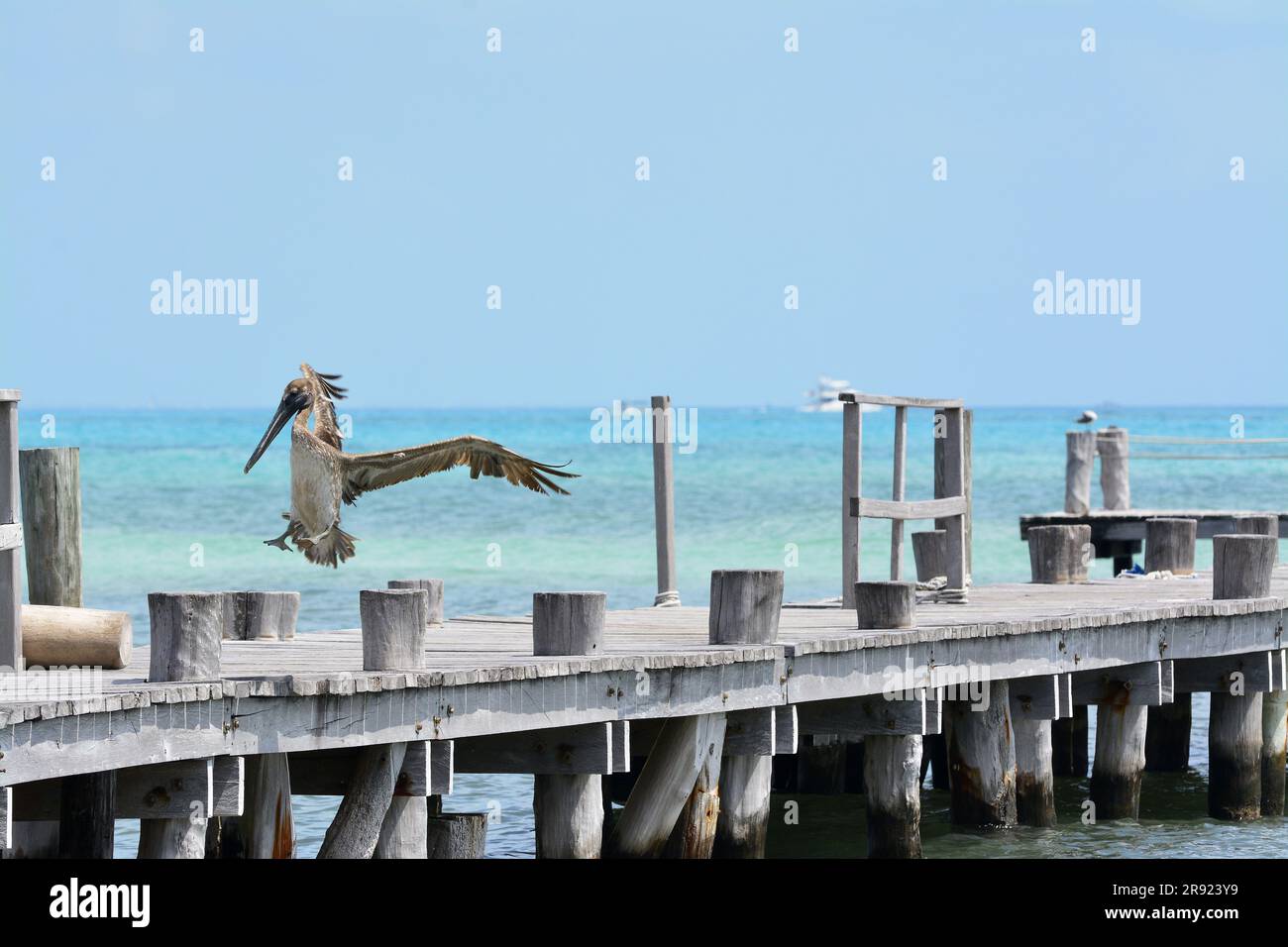 Sun bleached derelict pier in Cancun Mexico Stock Photo - Alamy