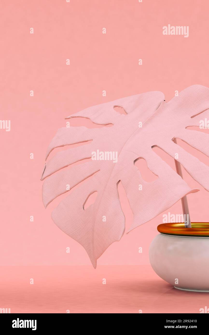 3D render of pink potted monstera plant standing against pink ...
