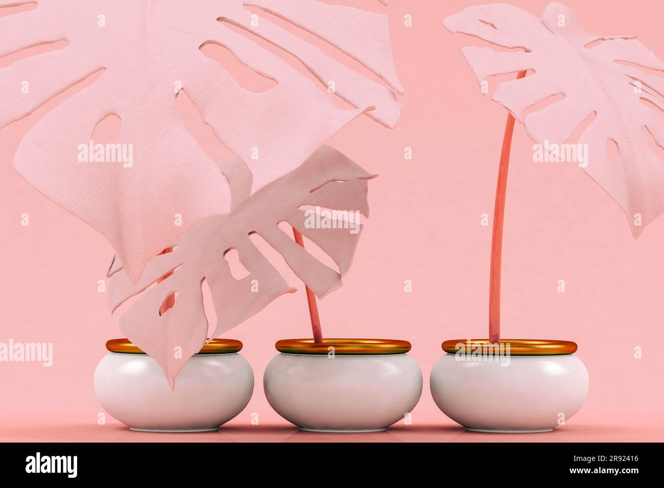 3D render of pink potted monstera plants standing against pink ...