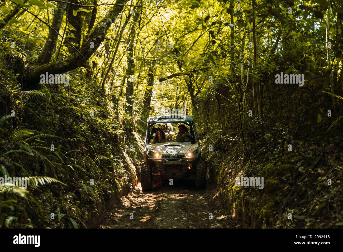 Friends riding buggy on path at forest Stock Photo - Alamy
