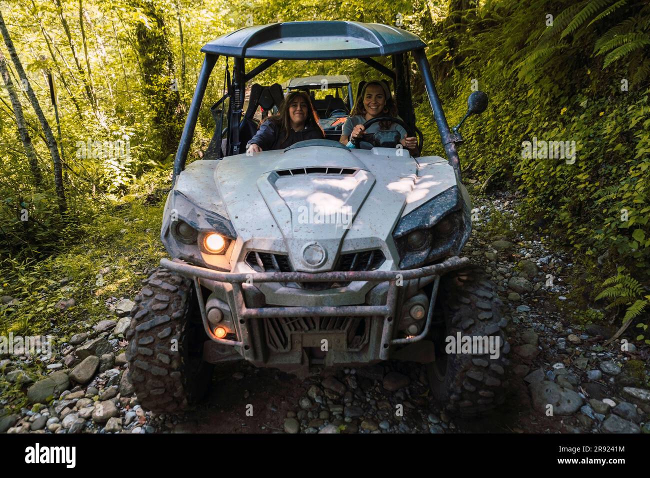 Young smiling friends riding buggy at forest Stock Photo - Alamy