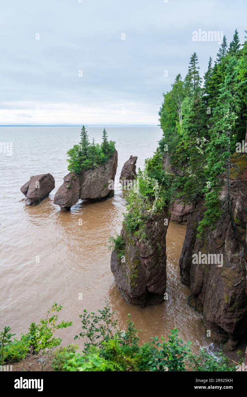 The bay of Fundy, New Brunswick.This bay is famous for having the ...