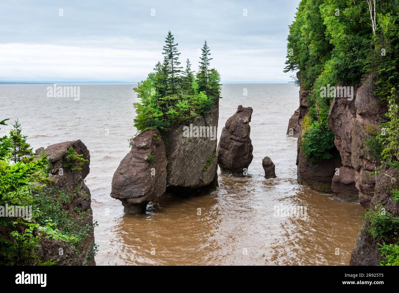 The bay of Fundy, New Brunswick.This bay is famous for having the ...