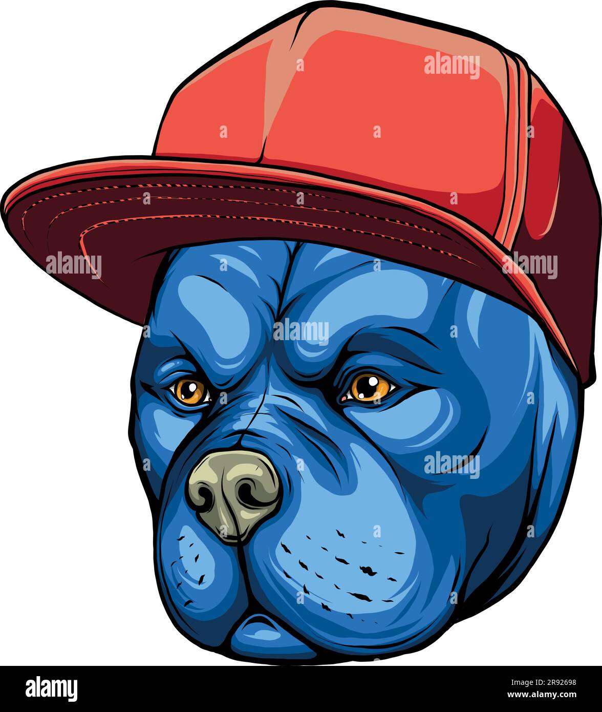 vector illustration of Pitbull dog in cap Stock Vector Image & Art - Alamy